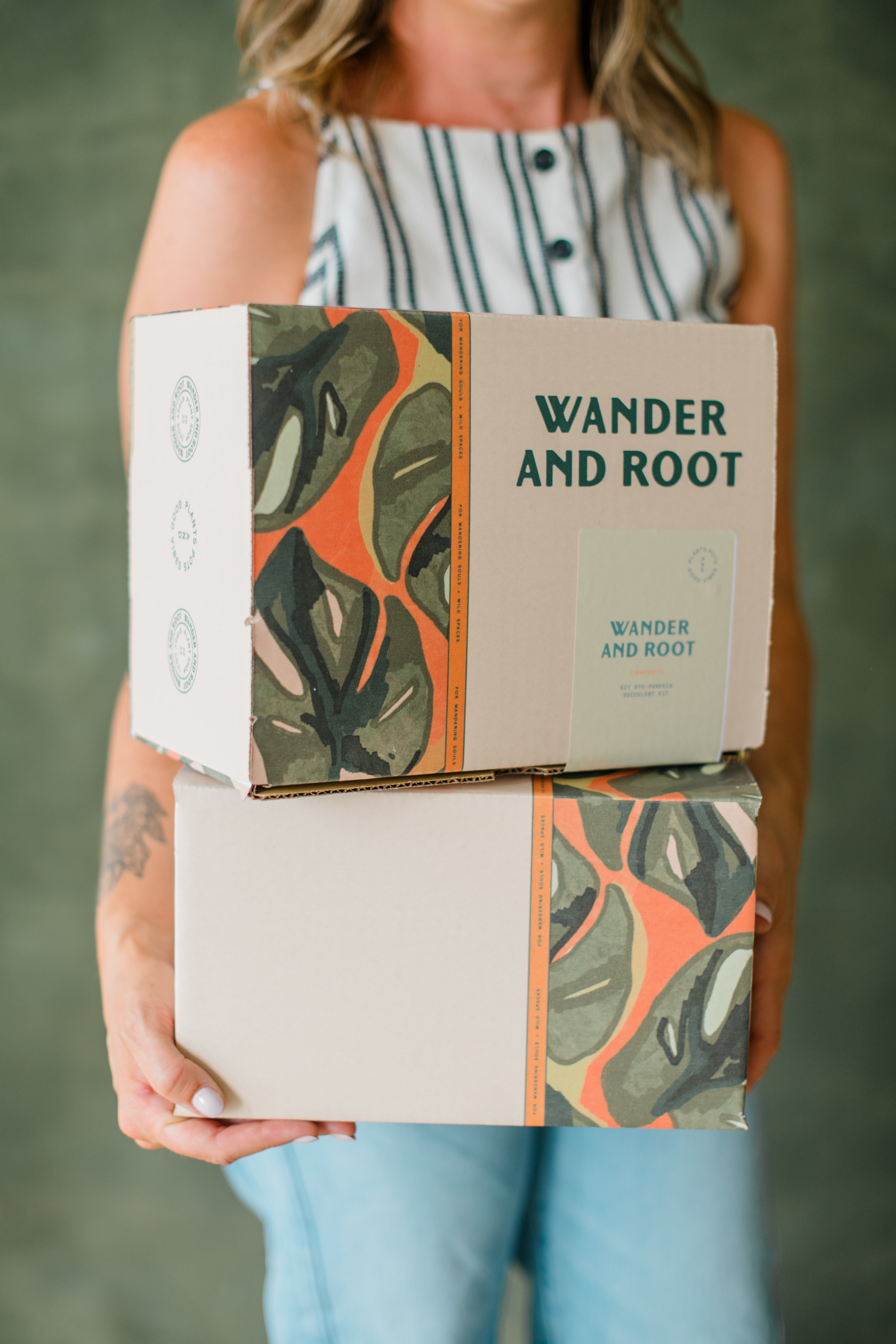 Seasonal DIY Plant Kits | Creative Succulent & Terrarium Projects ...